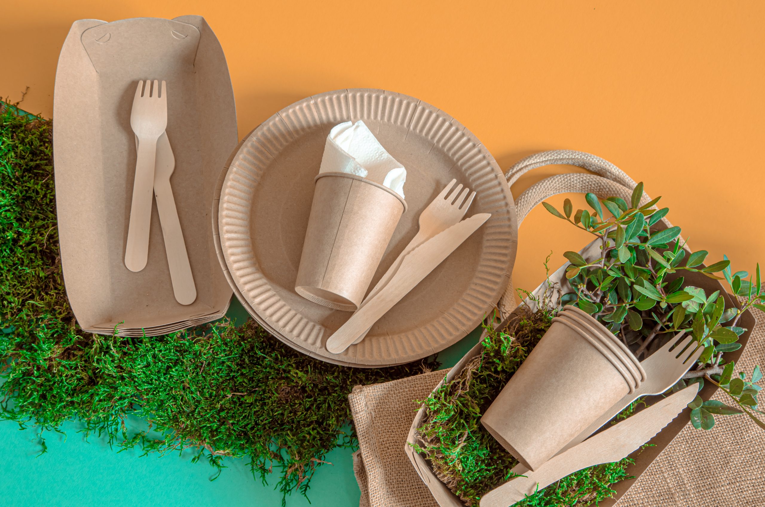The Top 10 Eco-Friendly Packaging Materials & Their Uses - Direct ...