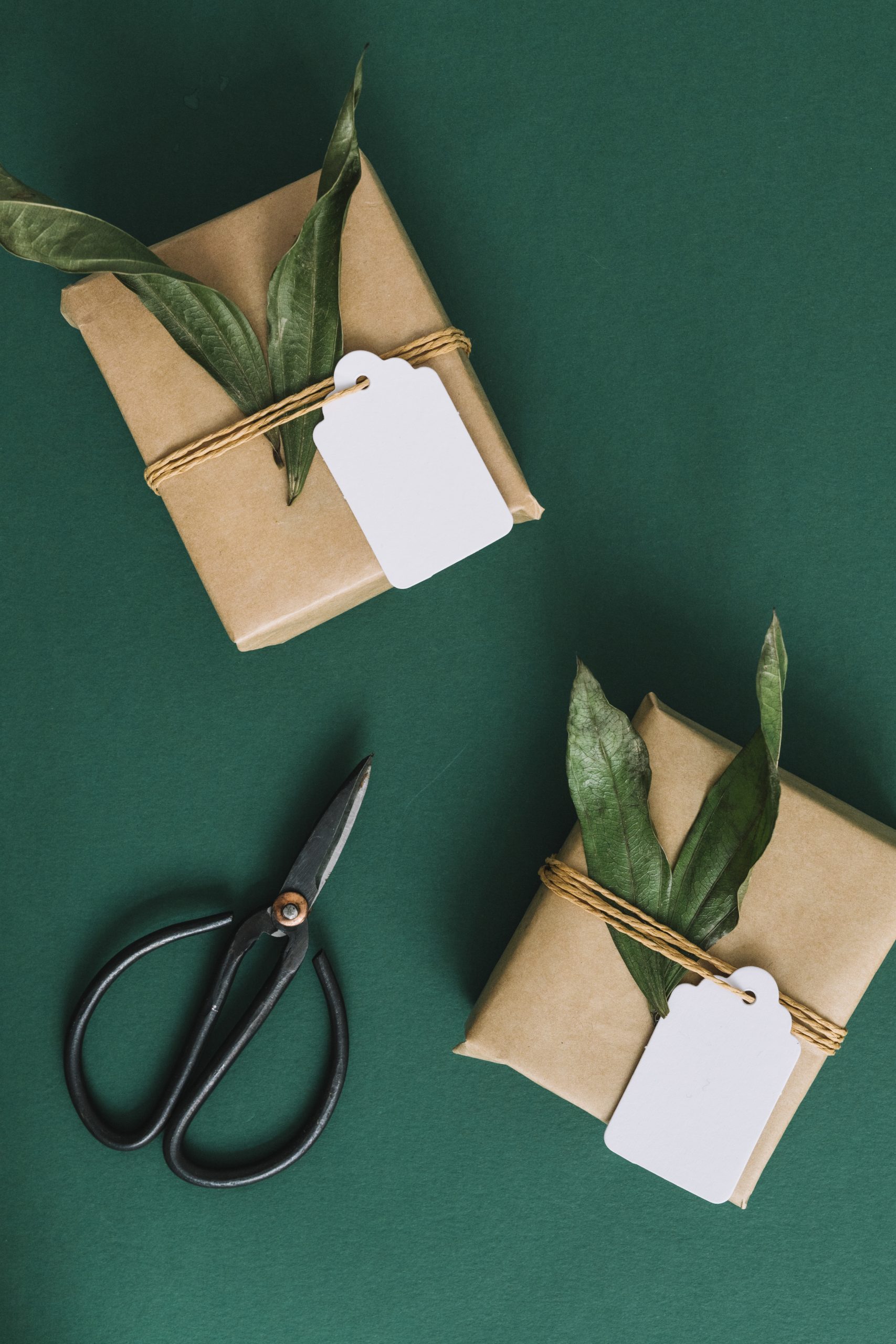 Make Your Packaging Greener - No Rebrand Needed - Direct Source Procurement